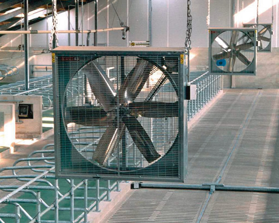 Animal Cooling System - Markim Agriculture and Livestock